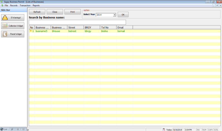 Business Permit System User Interface and Features