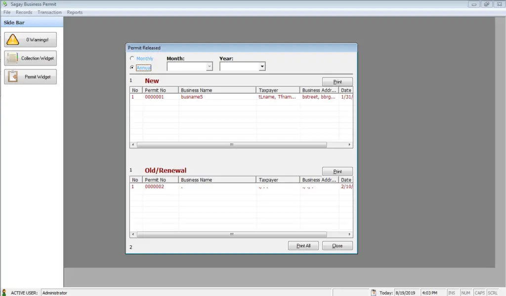 Business Permit System User Interface and Features
