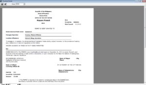 Business Permit System User Interface and Features