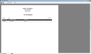 Business Permit System User Interface and Features