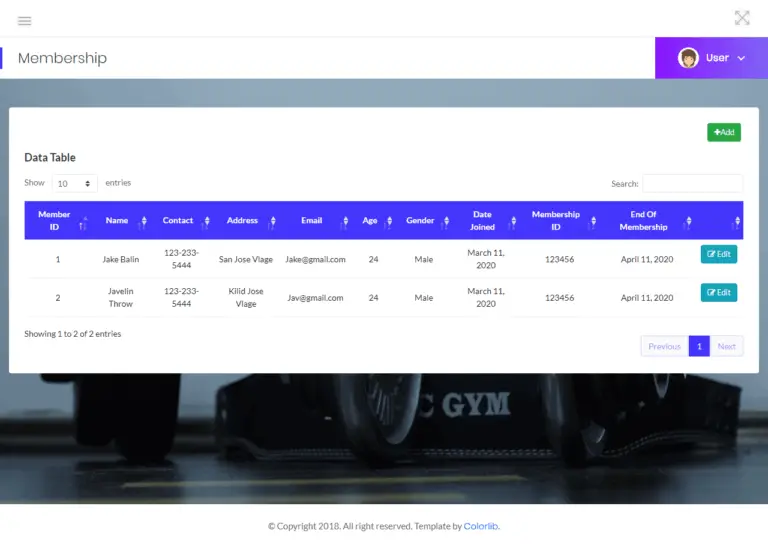 Gym Management User Interface and System Modules