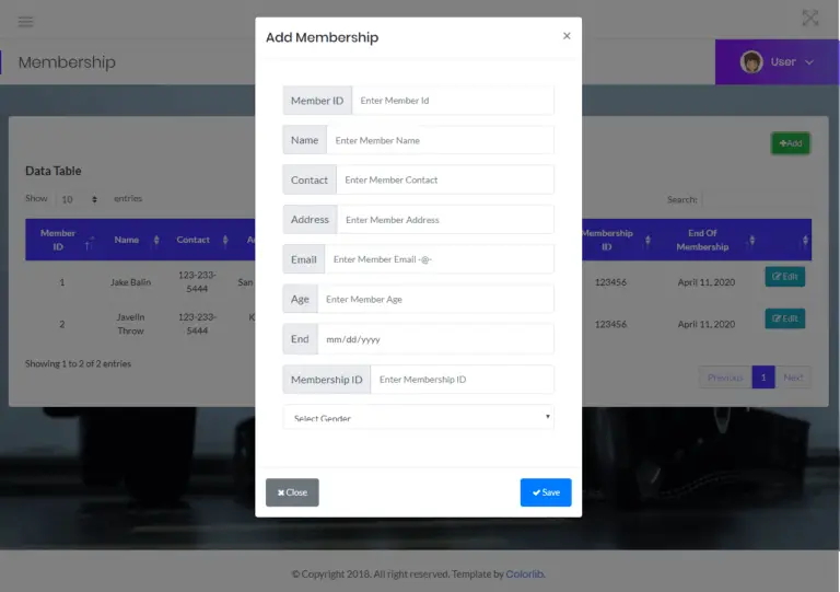 Gym Management User Interface and System Modules