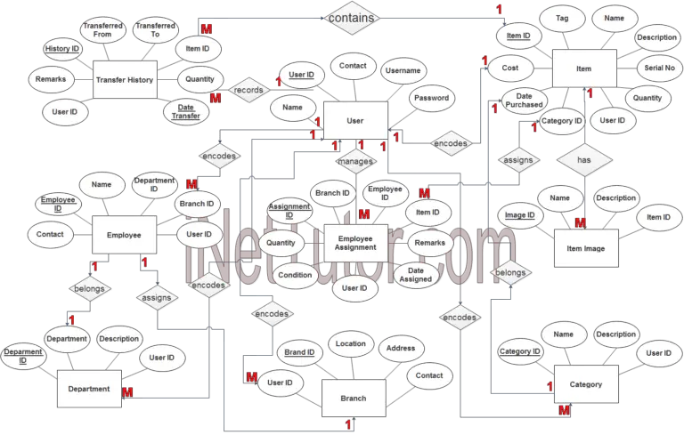 Asset Management System ER Diagram