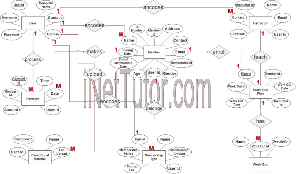 Gym Management System ER Diagram