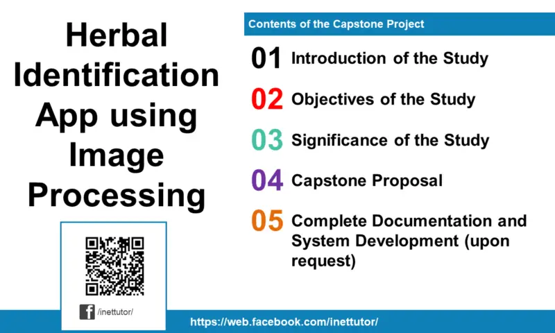 30 Best Web Development Project Ideas - iNetTutor.com