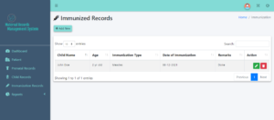Maternal Records Management System - Free Template 2026