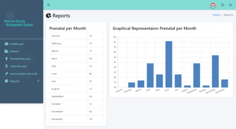 Maternal Records Management System - Free Template 2026
