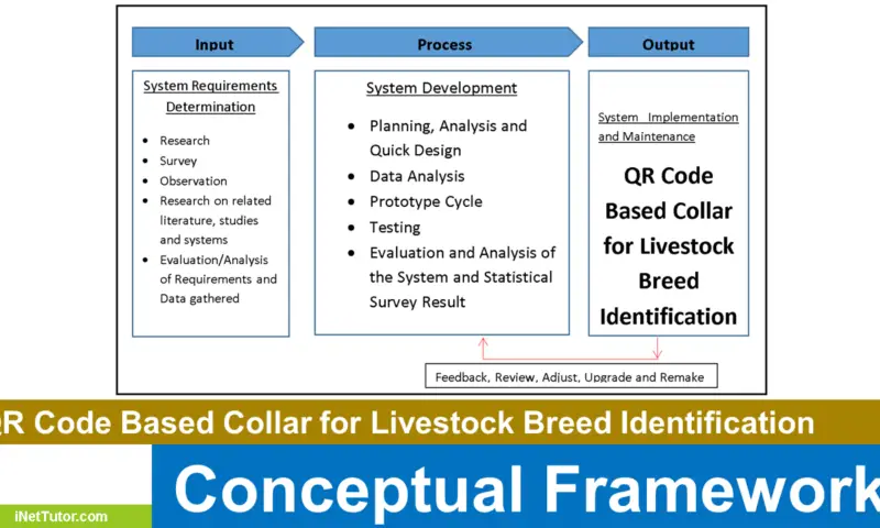 IPO Model Conceptual Framework of Customer Feedback Information System - 2025